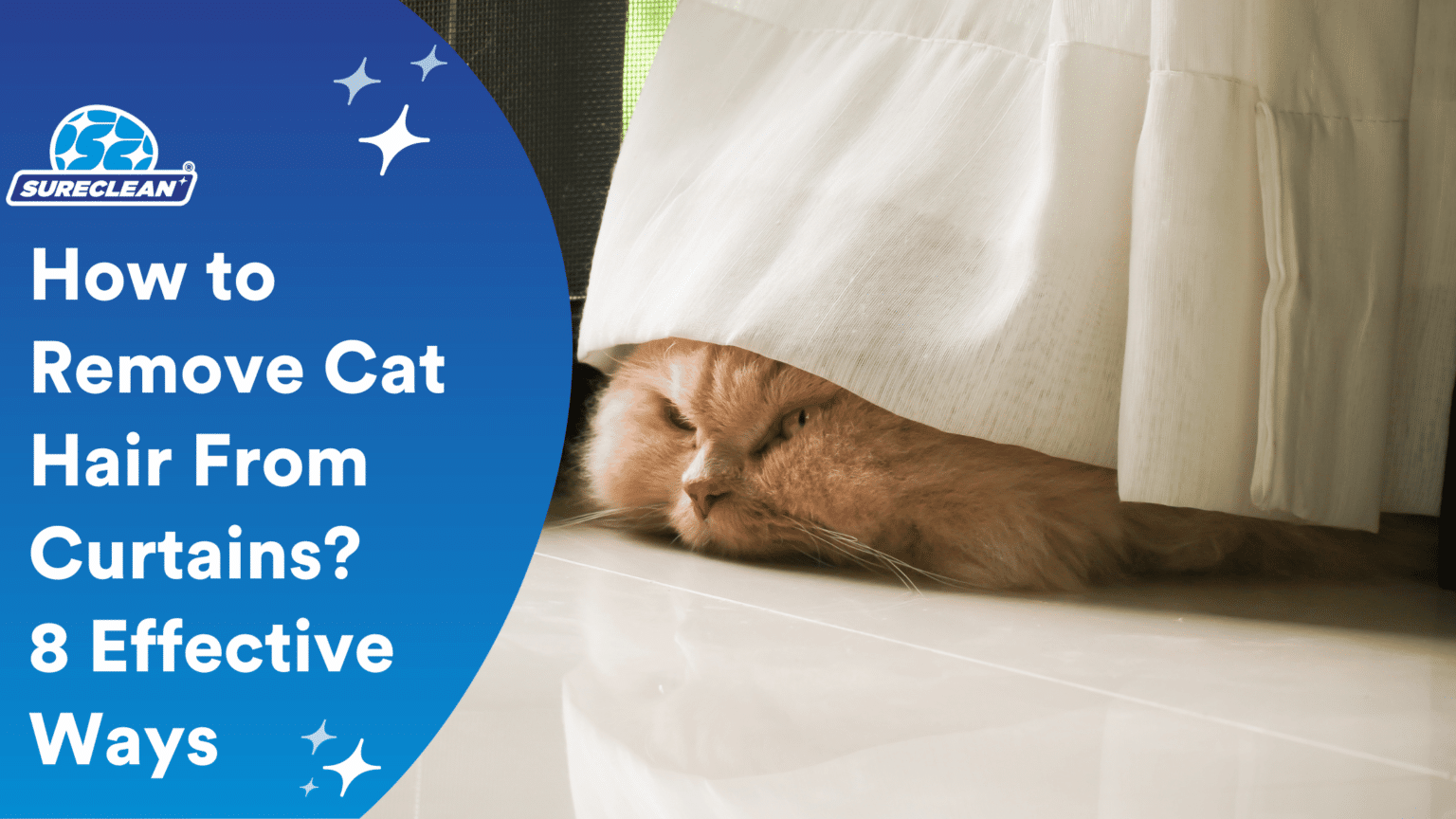 How to Remove Cat Hair From Curtains? 8 | Sureclean