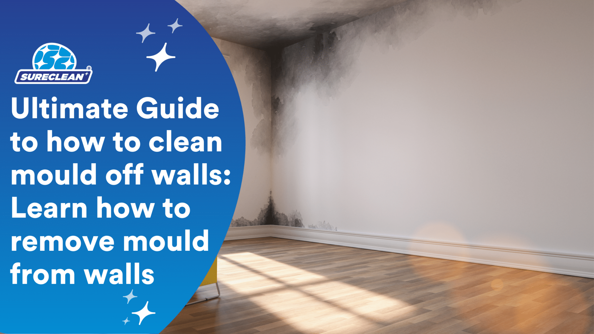 How To Clean Mould Off Walls | Sureclean